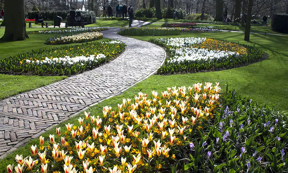 Keukenhof, el parque de tulipanes de Holanda | Chica en ruta